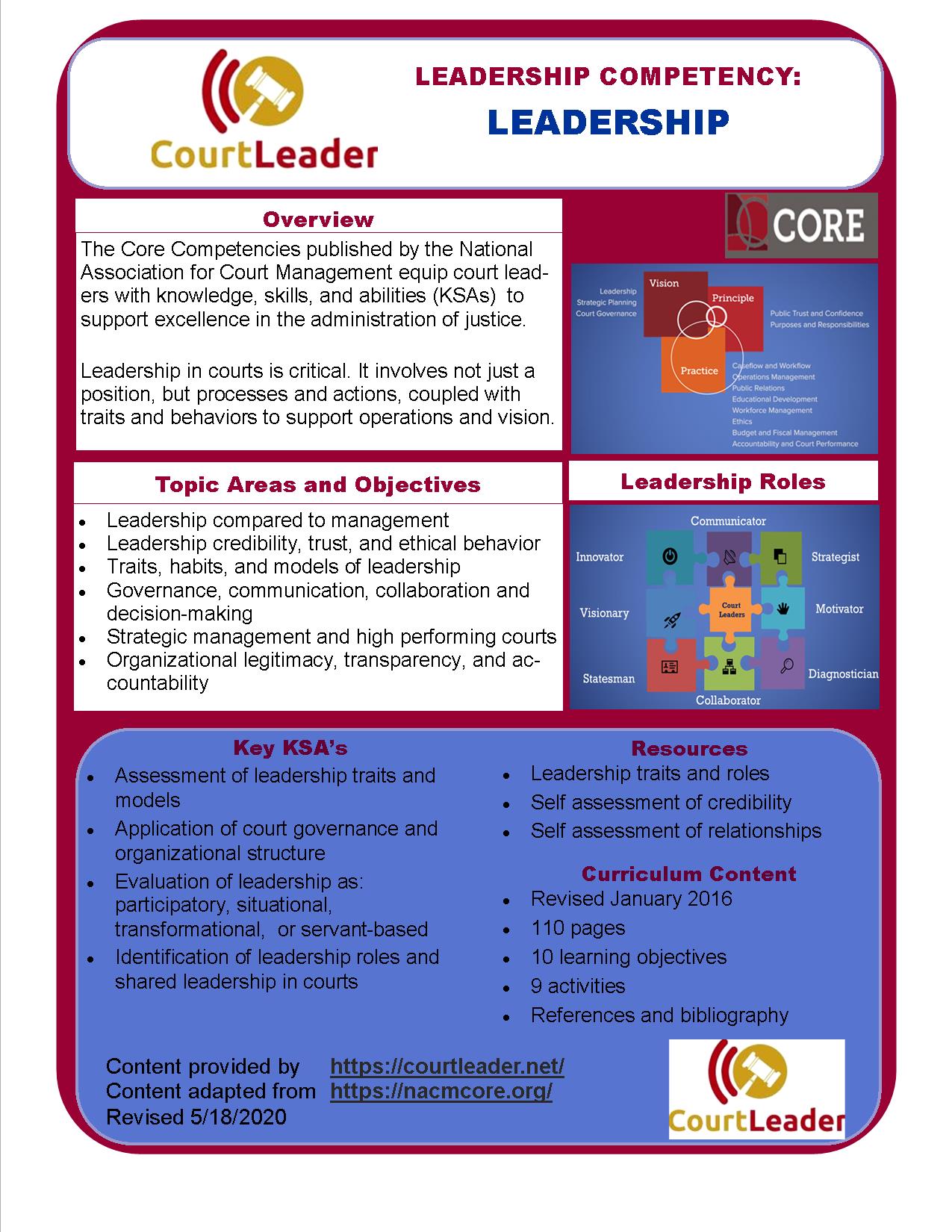 Court Leadership – the Competency of Leadership – Court Leader