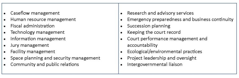 The Various Roles of Court Leadership – Court Leader