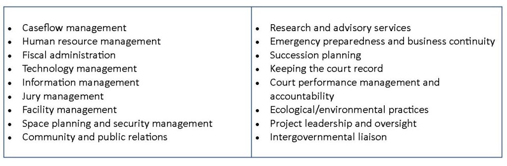 The Various Roles of Court Leadership – Court Leader