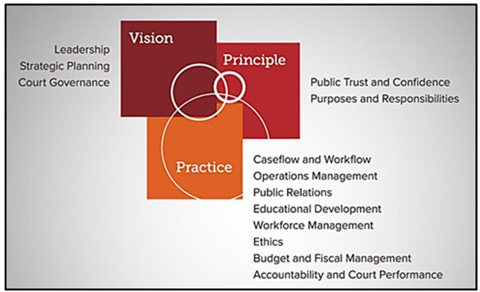 The Various Roles of Court Leadership – Court Leader
