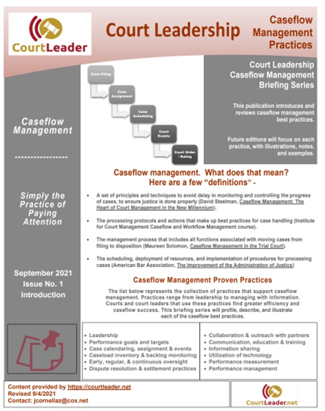 Court Leadership and Caseflow Management -Practice Profiles – Court Leader