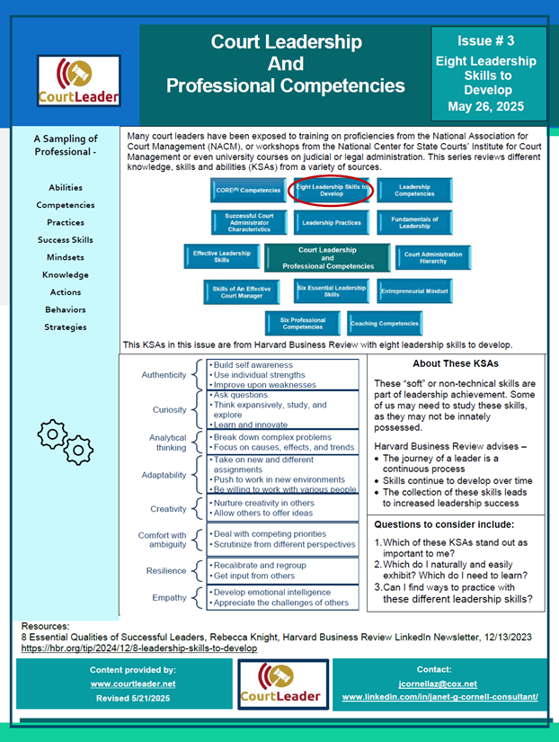 Court Leadership and Professional Competencies – Eight Leadership ...